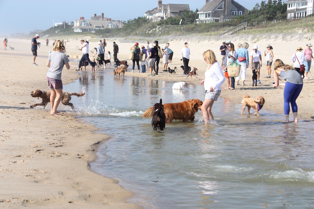 10 Things to Do While You're Here for the Hamptons Film Festival | The ...