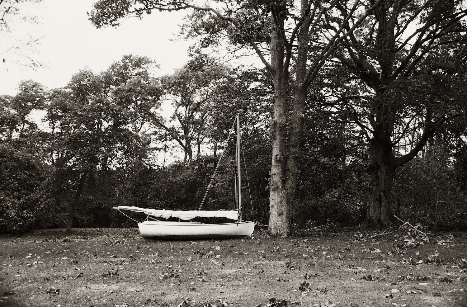 The Champions of Briar Patch | The East Hampton Star